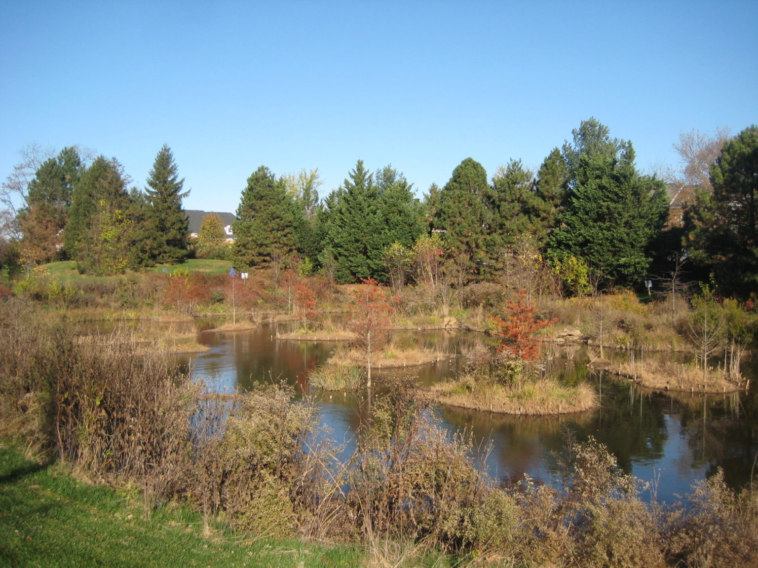 Stormwater Management/BMP's - AMT Engineering